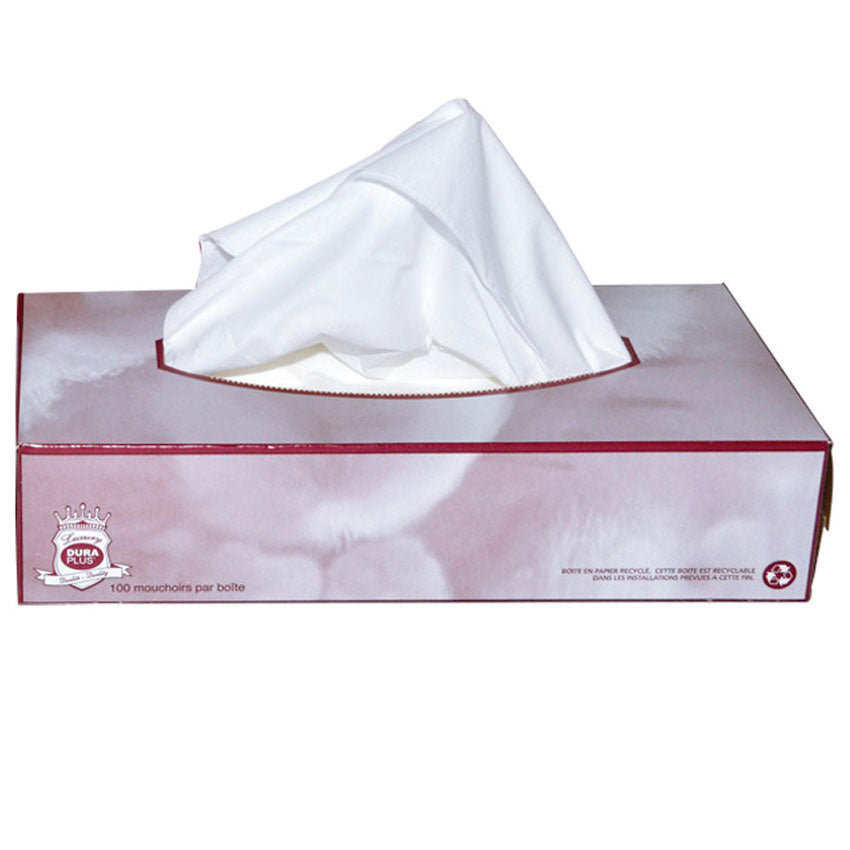Facial Tissue - 2 Ply - 100 Sheets x 30 Boxes =3000 Sheets – Golden ...